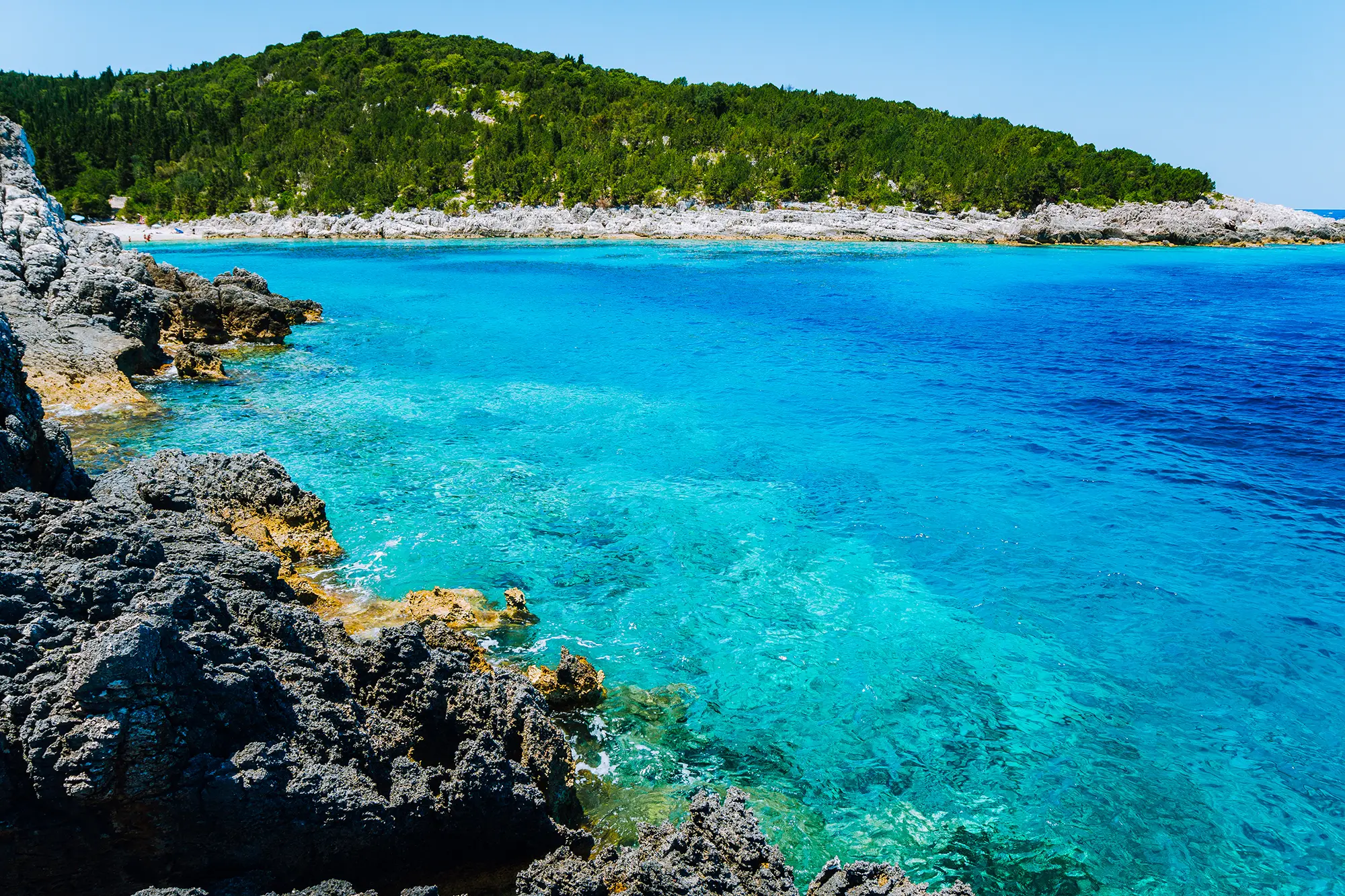 Mike's Tourism Case Study - SEO Case Study